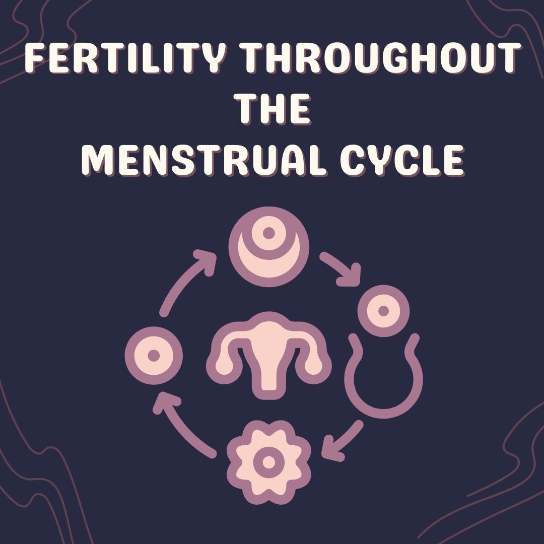 Fertility Throughout The Menstrual Cycle - Teen Health Source - Teen ...